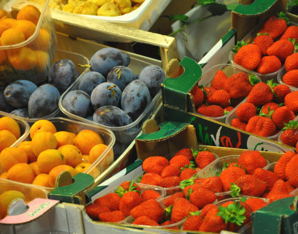 Unique Food Experiences in Florence - Elle Croft Unique Food Experiences in Florence - Elle Croft