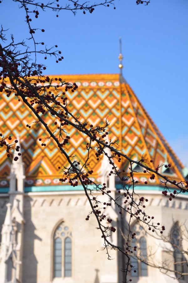 10 Essential Tips for Visiting Budapest | by Elle Croft 10 Essential Tips for Visiting Budapest | by Elle Croft